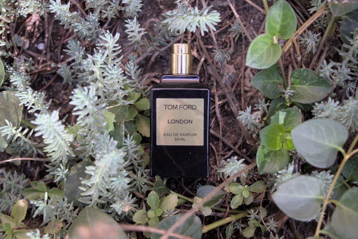 Tom Ford London Review (2024): Gone And Forgotten - Scent Grail