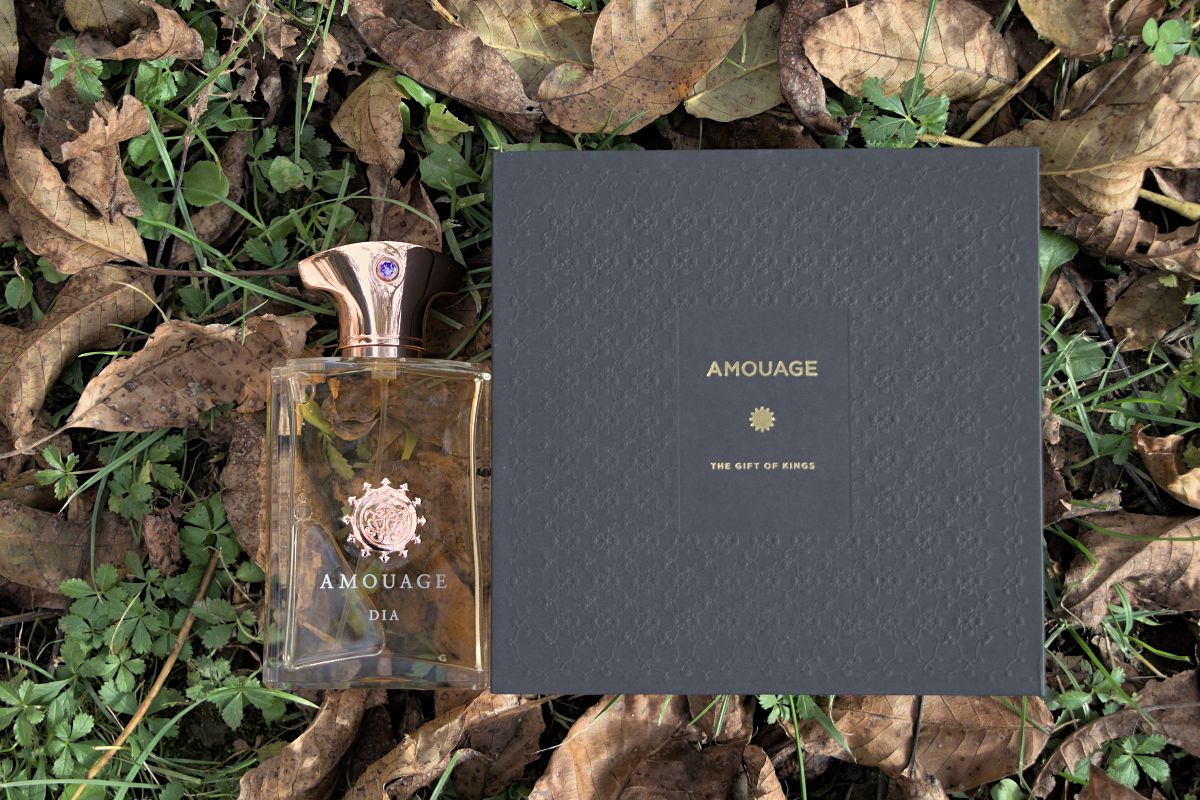 Amouage Dia Man Review (2024): Underrated Masterpiece - Scent Grail