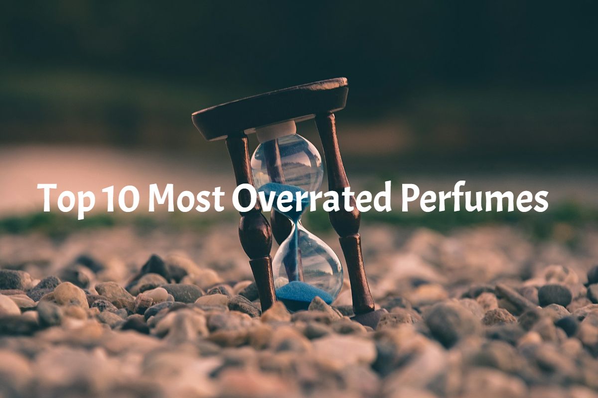 Top 10 Most Overrated Perfumes 2024 Scent Grail