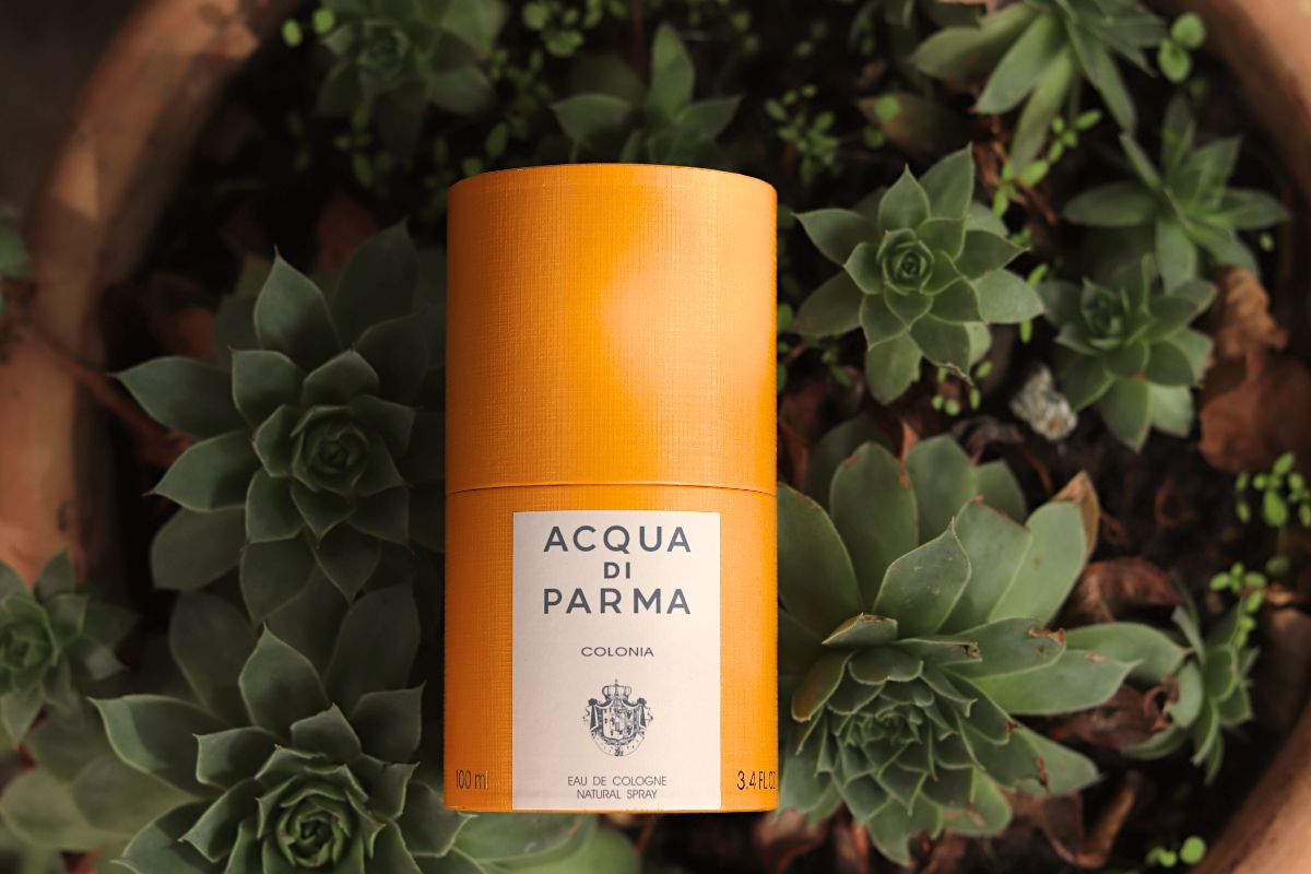 Acqua Di Parma Colonia Review (2024): Feels Like Summer - Scent Grail
